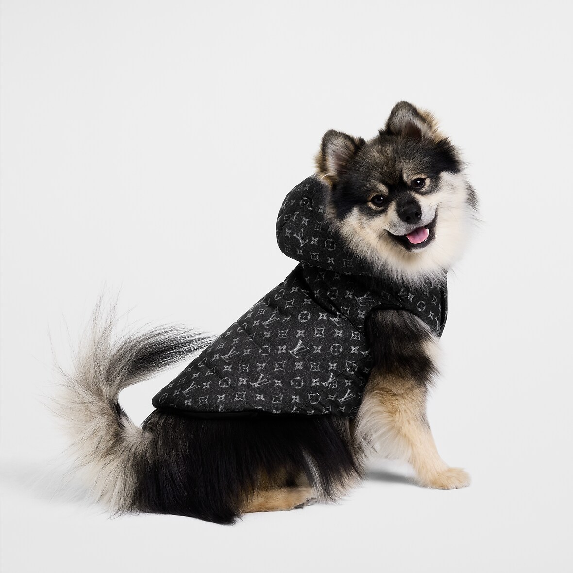 Dog Puffer Jacket PM . - Pets Accessories | LOUIS VUITTON